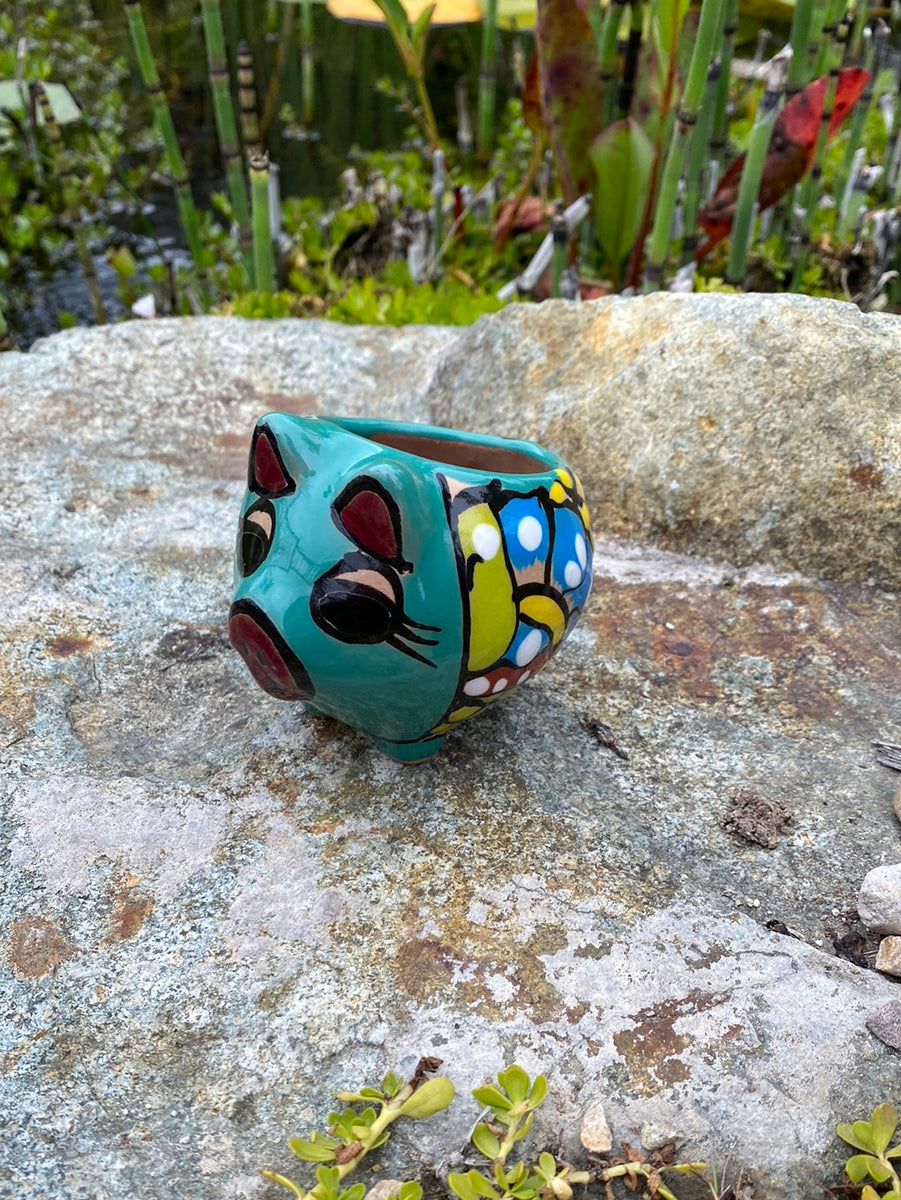 Felipe’s Talavera Pig Pot – The Madd Potter