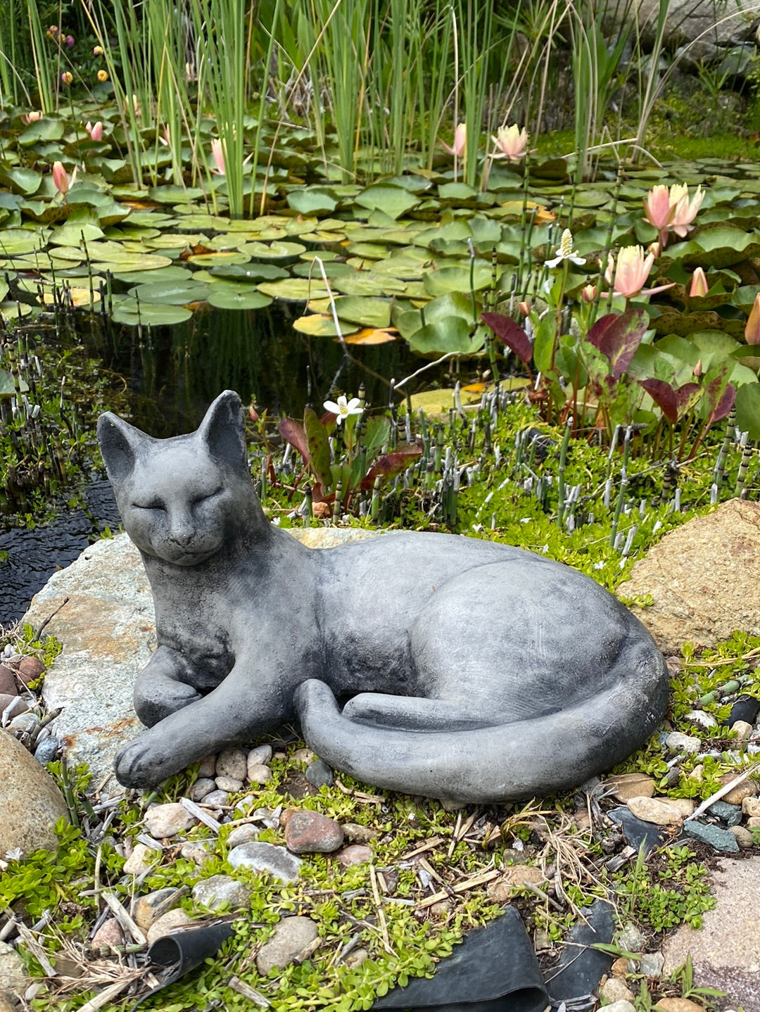 Statuary – The Madd Potter