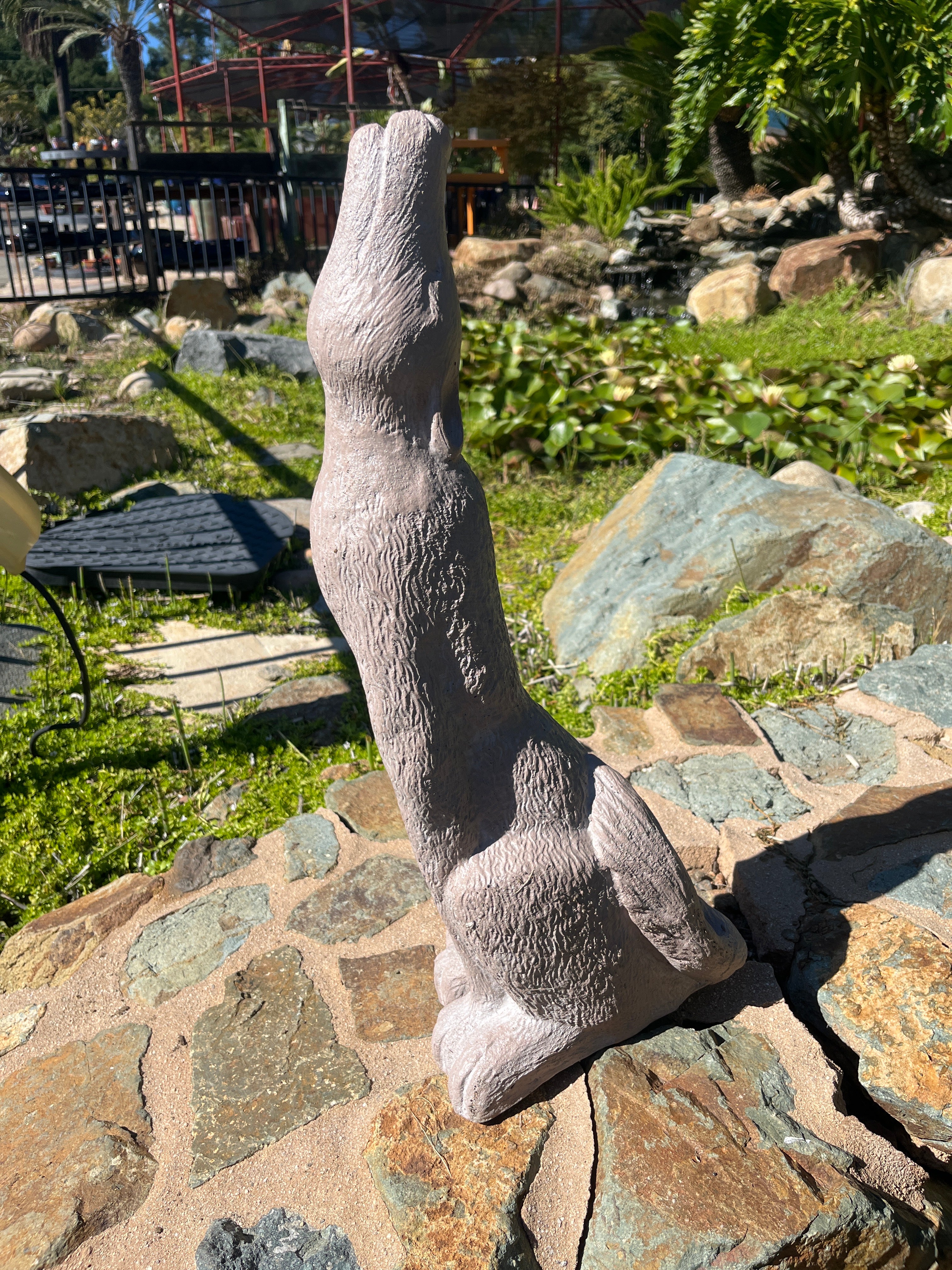 Coyote Statue (Style 1) – The Madd Potter