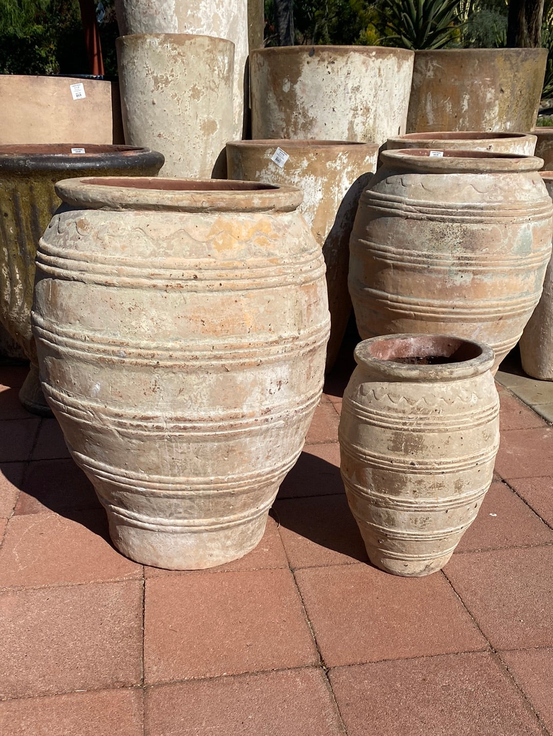 Vietnamese – Page 2 – The Madd Potter