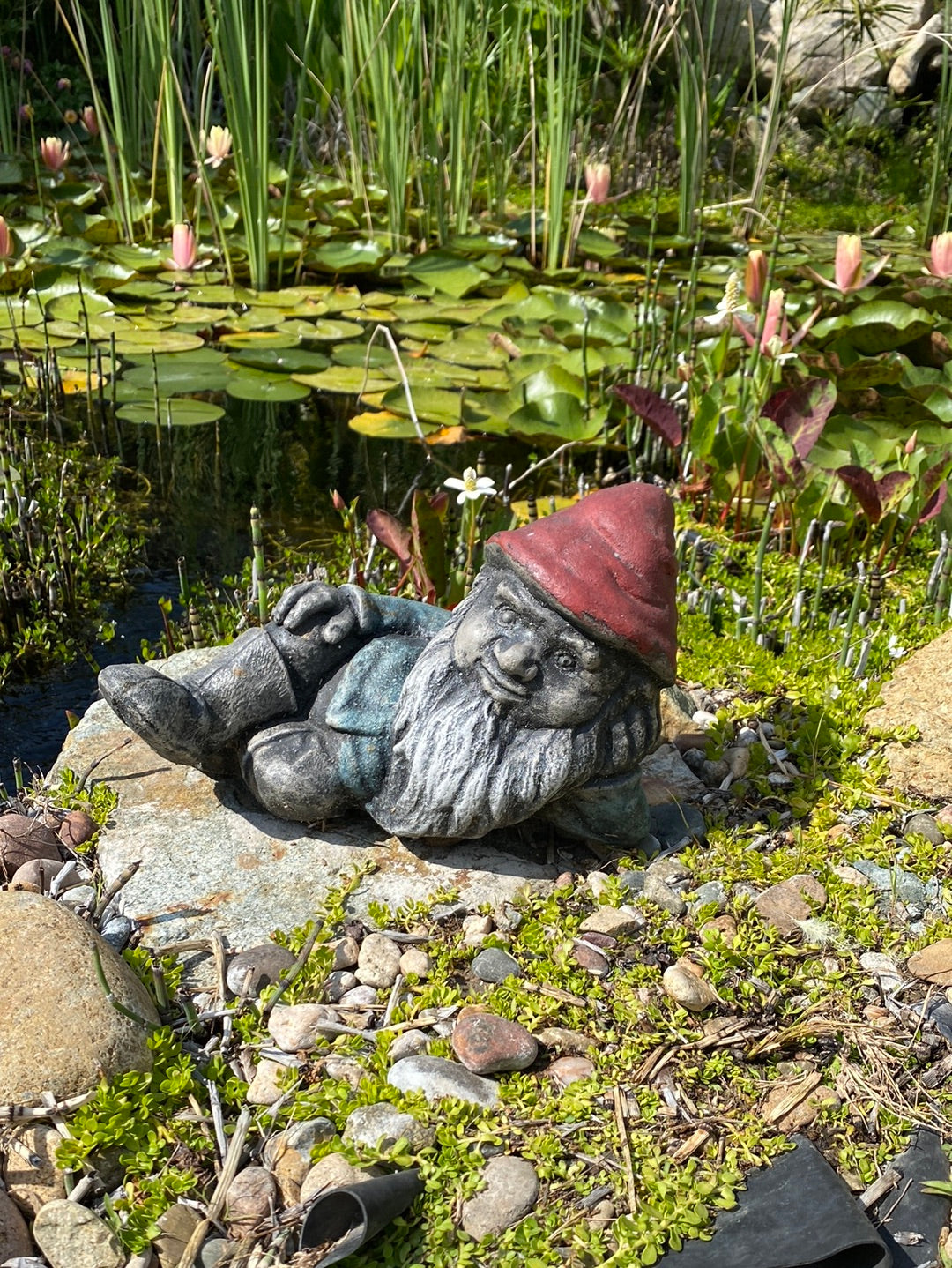 Stunning Gnome Statue – The Madd Potter