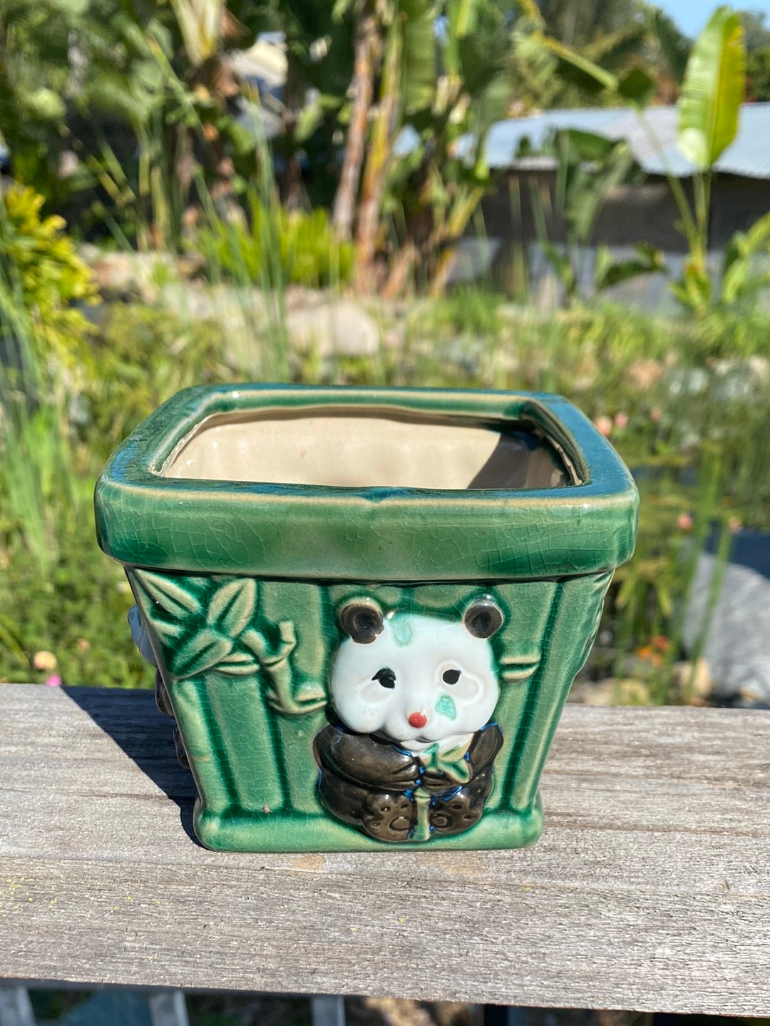 Panda Pot – The Madd Potter