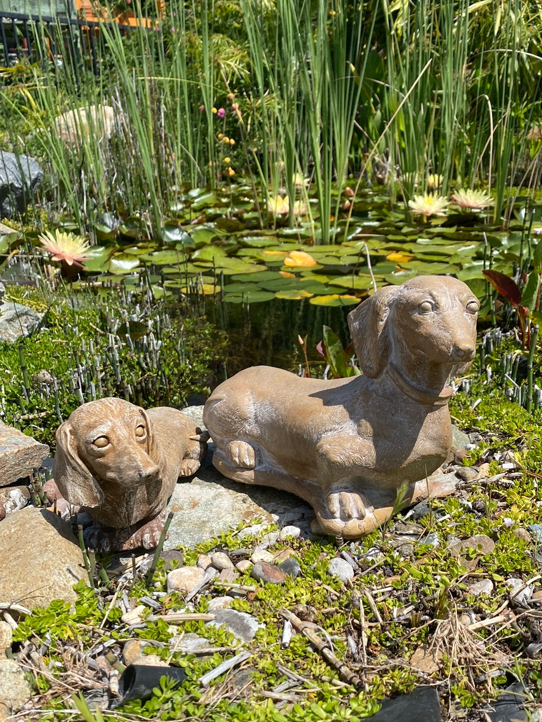 Wiener Dog Statue – The Madd Potter