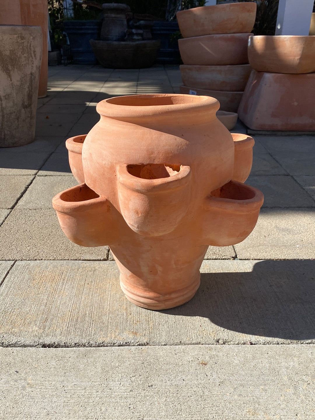 Vietnamese Terracotta Herb Pot – The Madd Potter