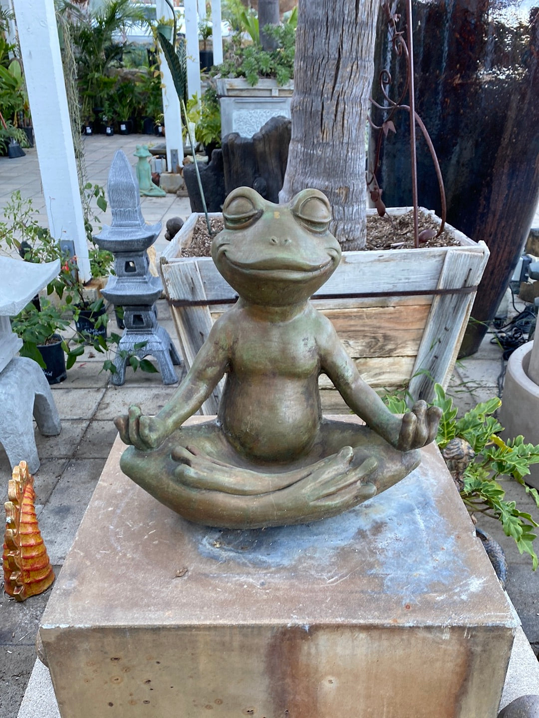 Meditating Frog Statue – The Madd Potter