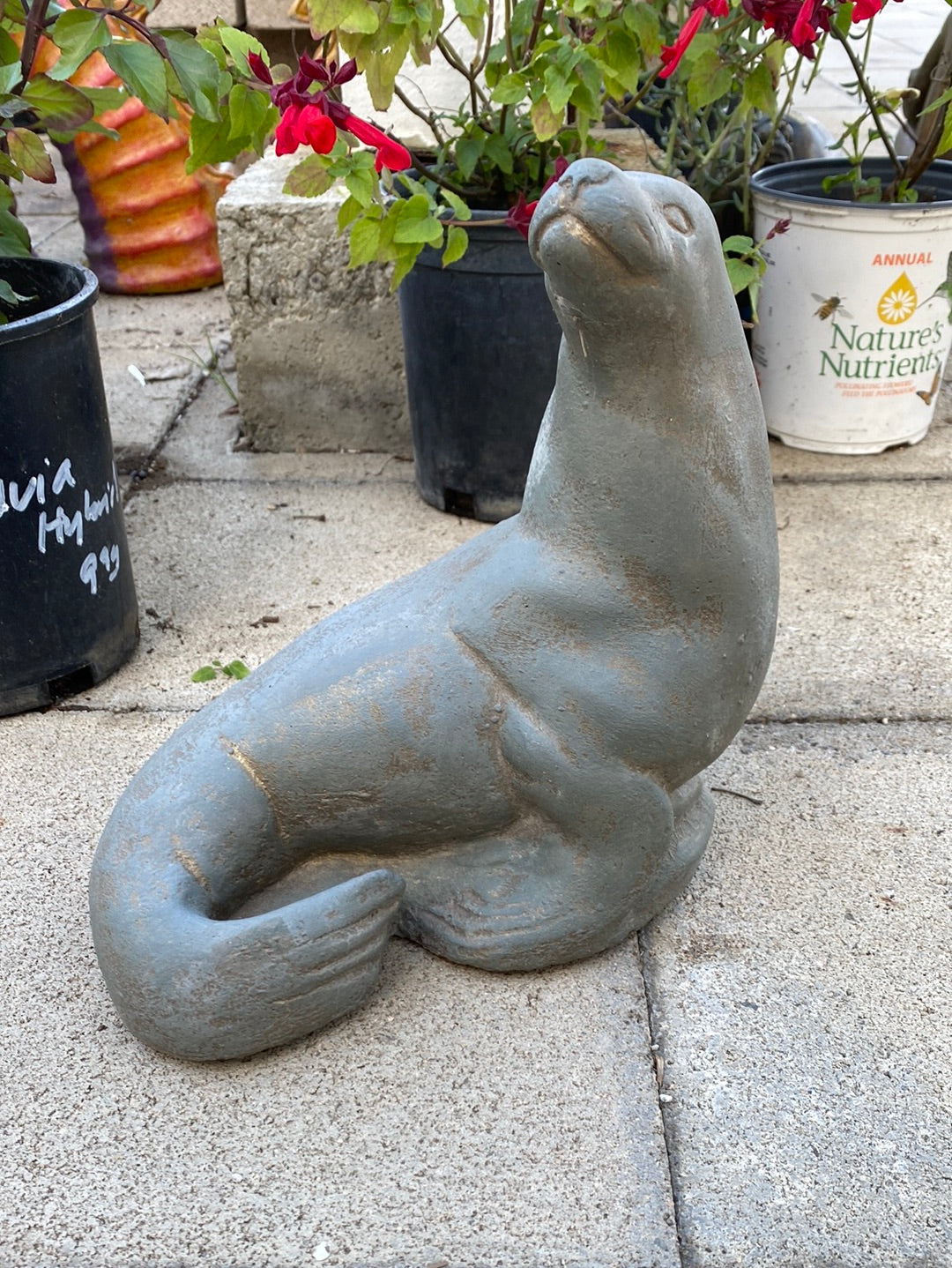 Sea Lion Statue – The Madd Potter