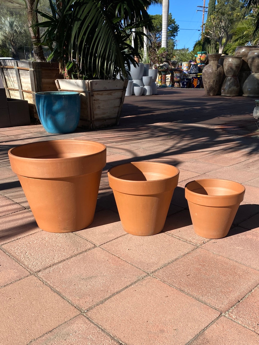 Italian Terracotta Vaso Pot – The Madd Potter